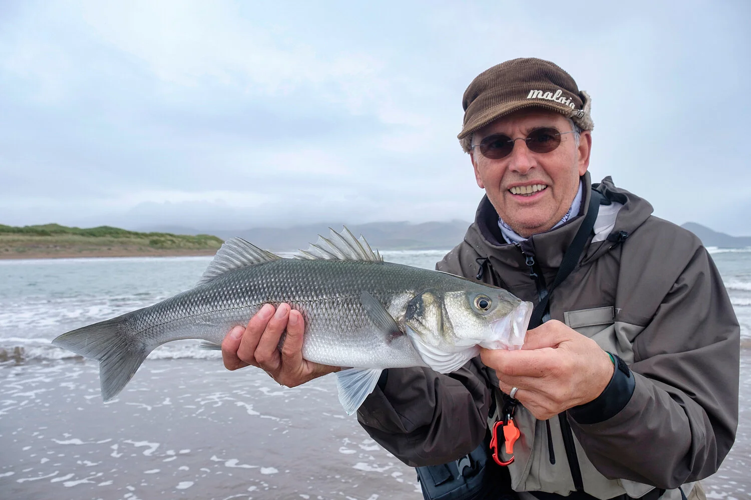 Guiding — Henry Gilbey