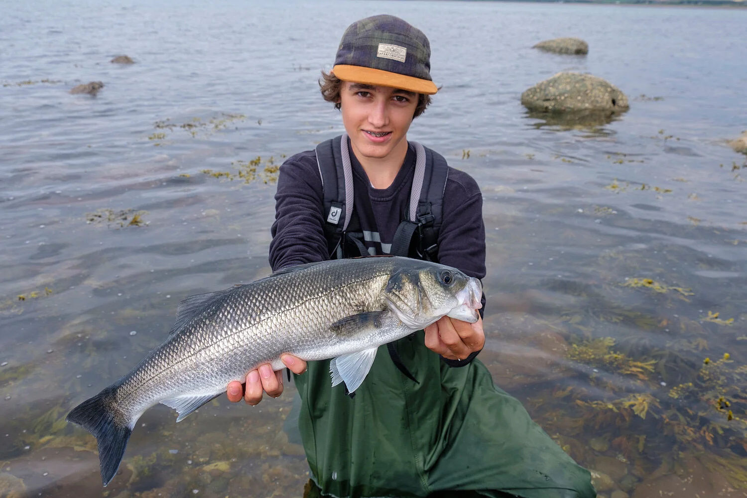 Guiding — Henry Gilbey