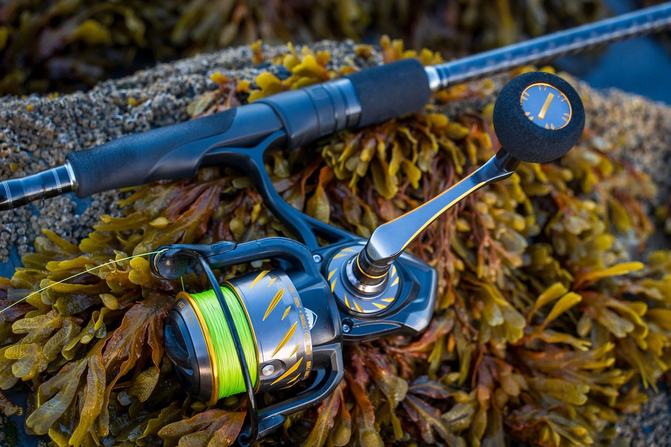 Saw a bunch of really interesting lure rods for £100 and less, I’m a ...