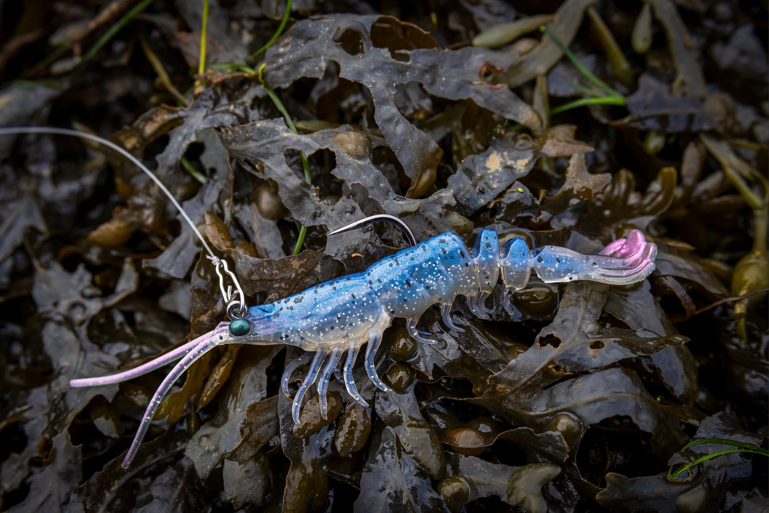 Prawn imitation lures? — Henry Gilbey