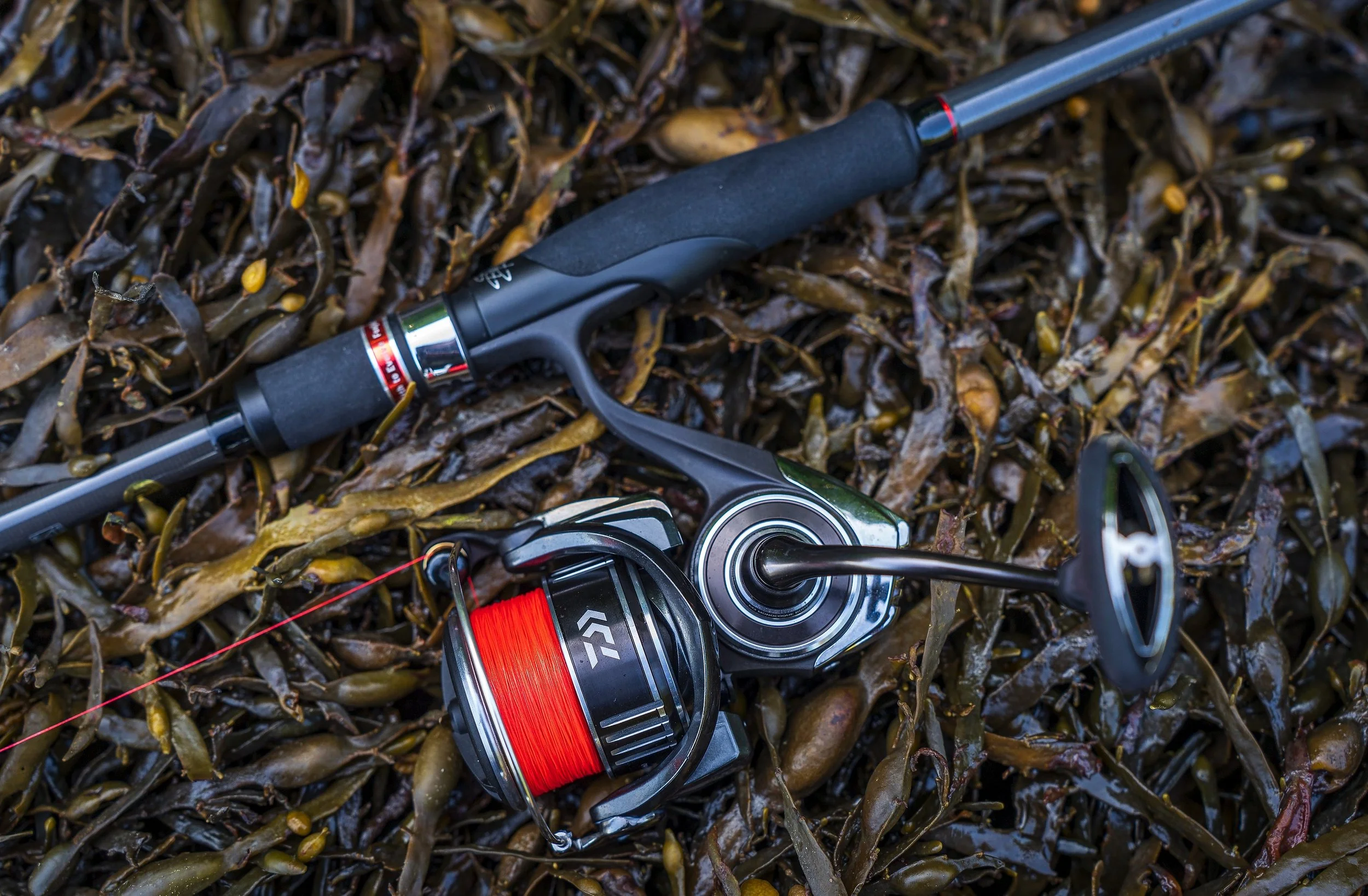 Daiwa BG MQ 4000D-XH spinning reel, around £200 - initial impressions ...