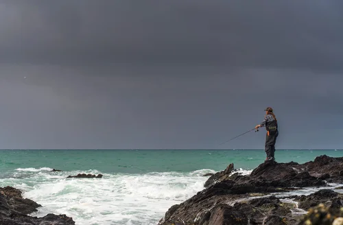 APIA Foojin'RS Lynx 93M 9'3'' 6-42g lure rod review - £389.99 in the UK ...