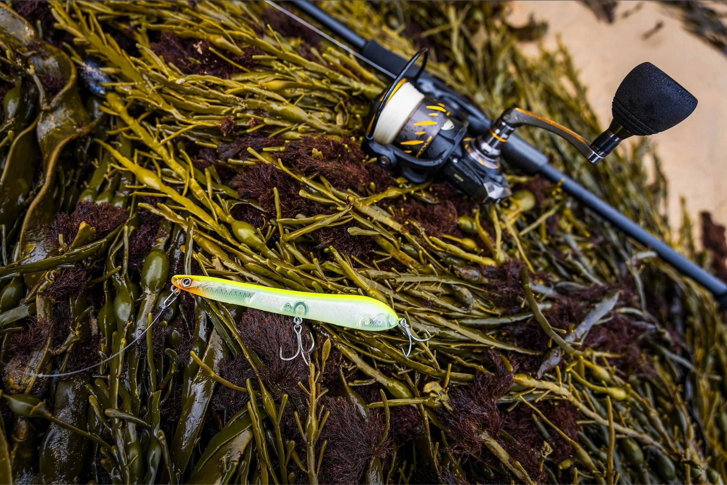 The new HTO Kamikaze 125 surface lure (125mm, 18g) - I really like ...