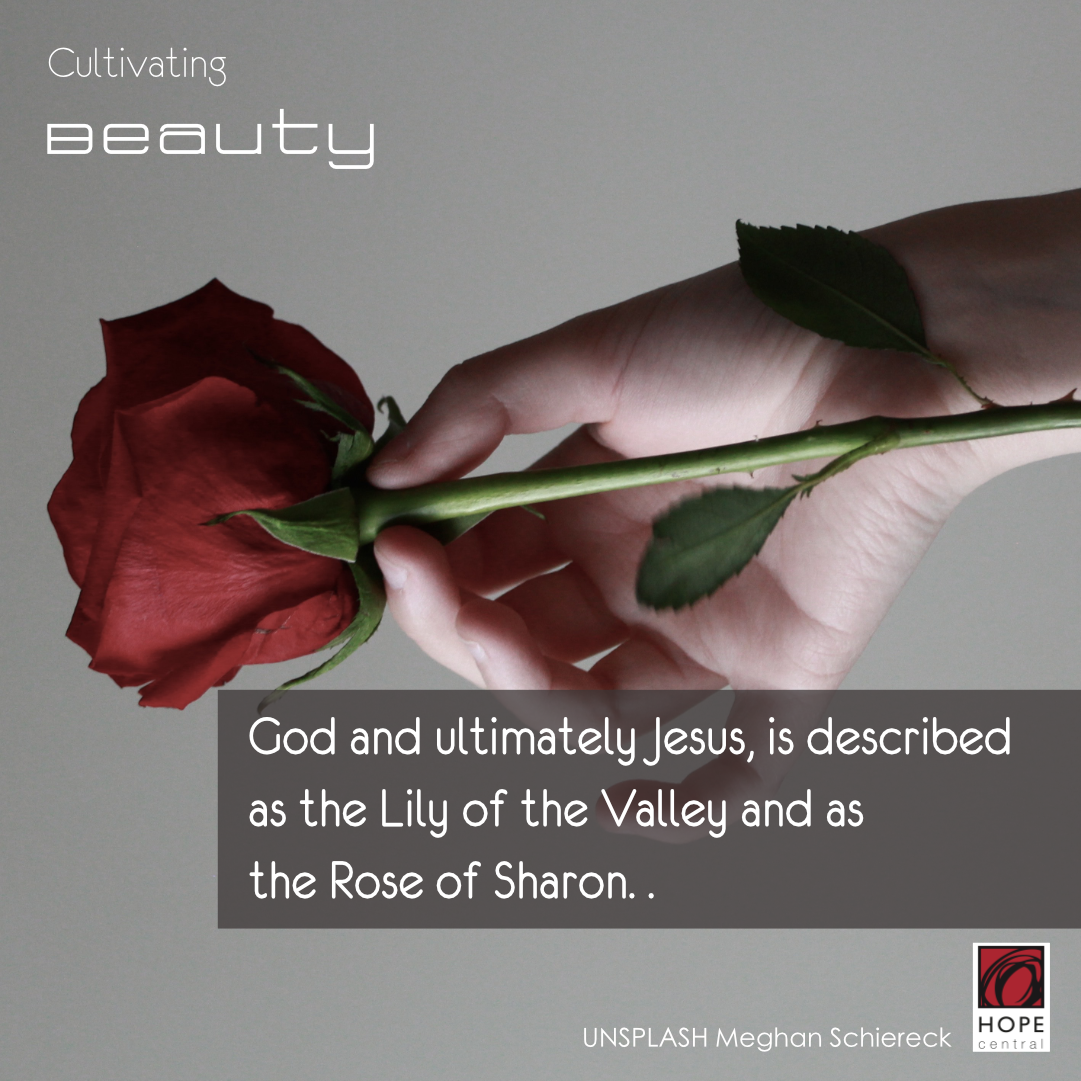 Devotion Day 7 — Hope Central