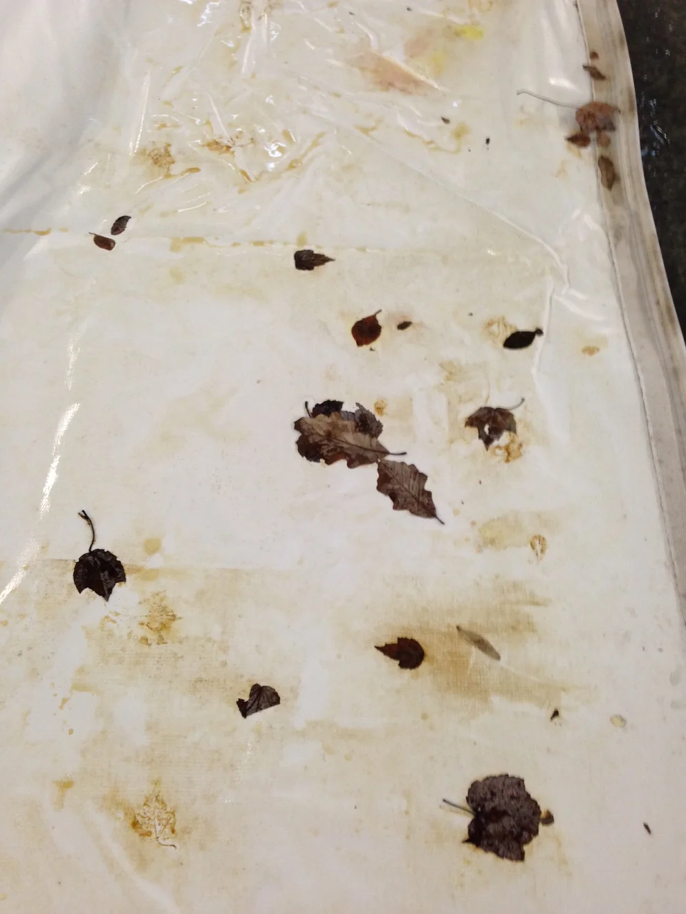 Tent Washing Service | Tent Washing Machine | Tents For Rent