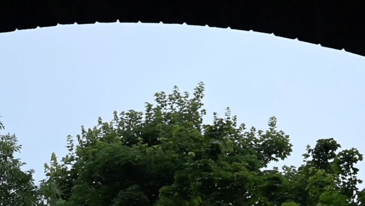 About — andy catlin