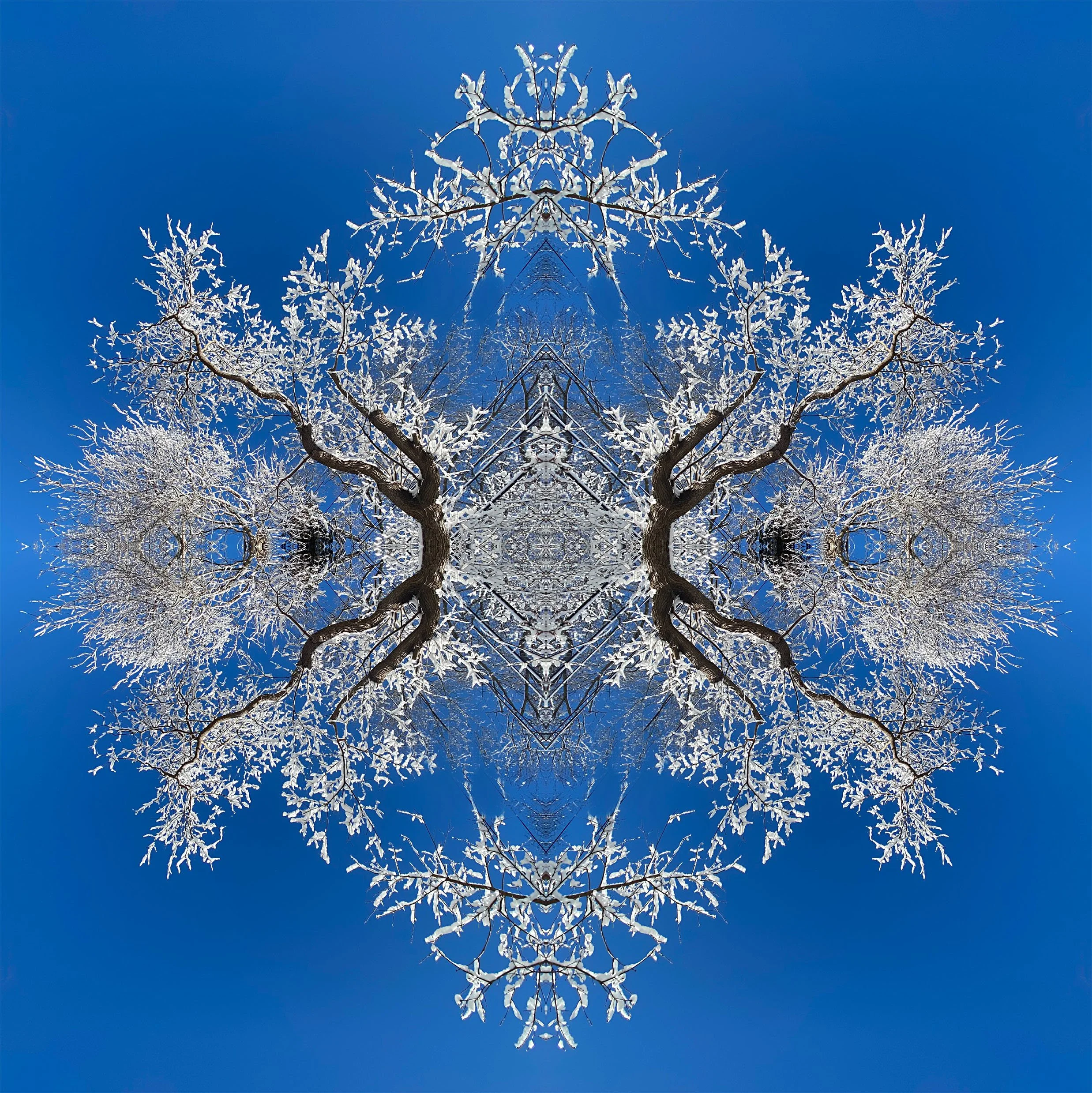 Diane Harrison — Jessica Hagen Fine Art + Design