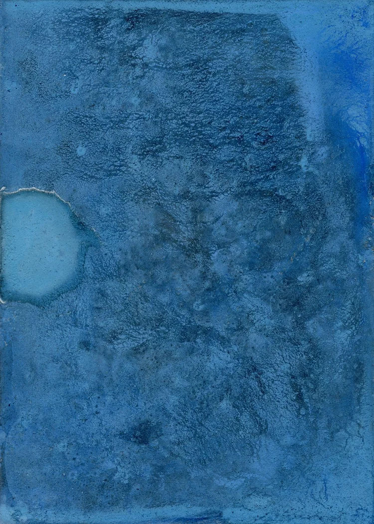 Shannon Christine Rankin