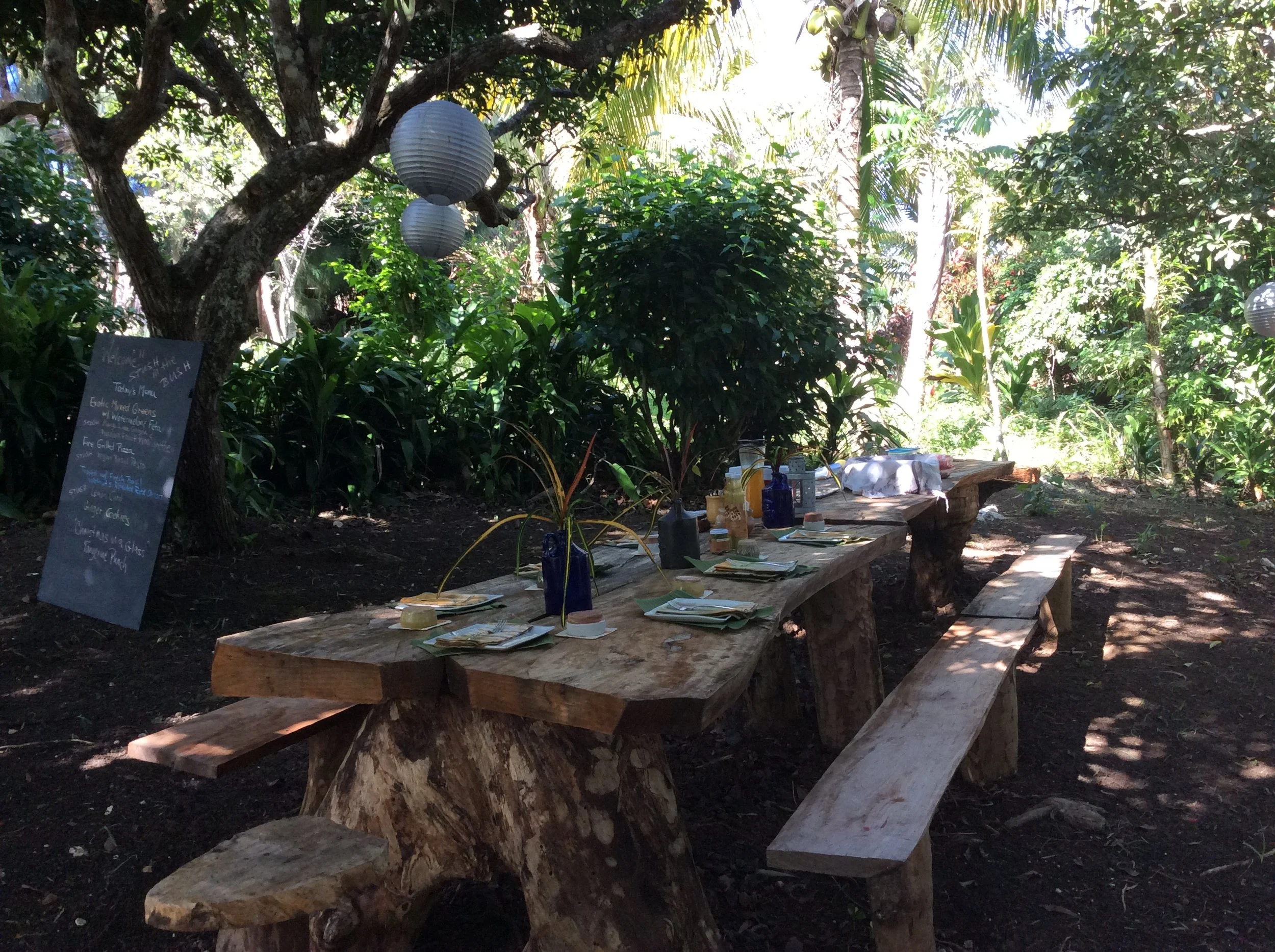 Cooking with Intention — STUSH in the BUSH