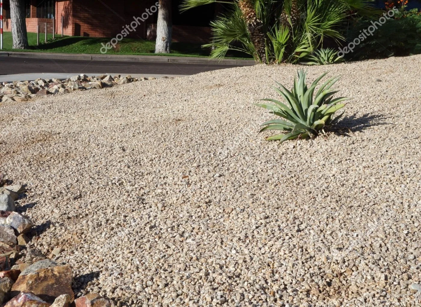 Boulder Landscape Design & Build