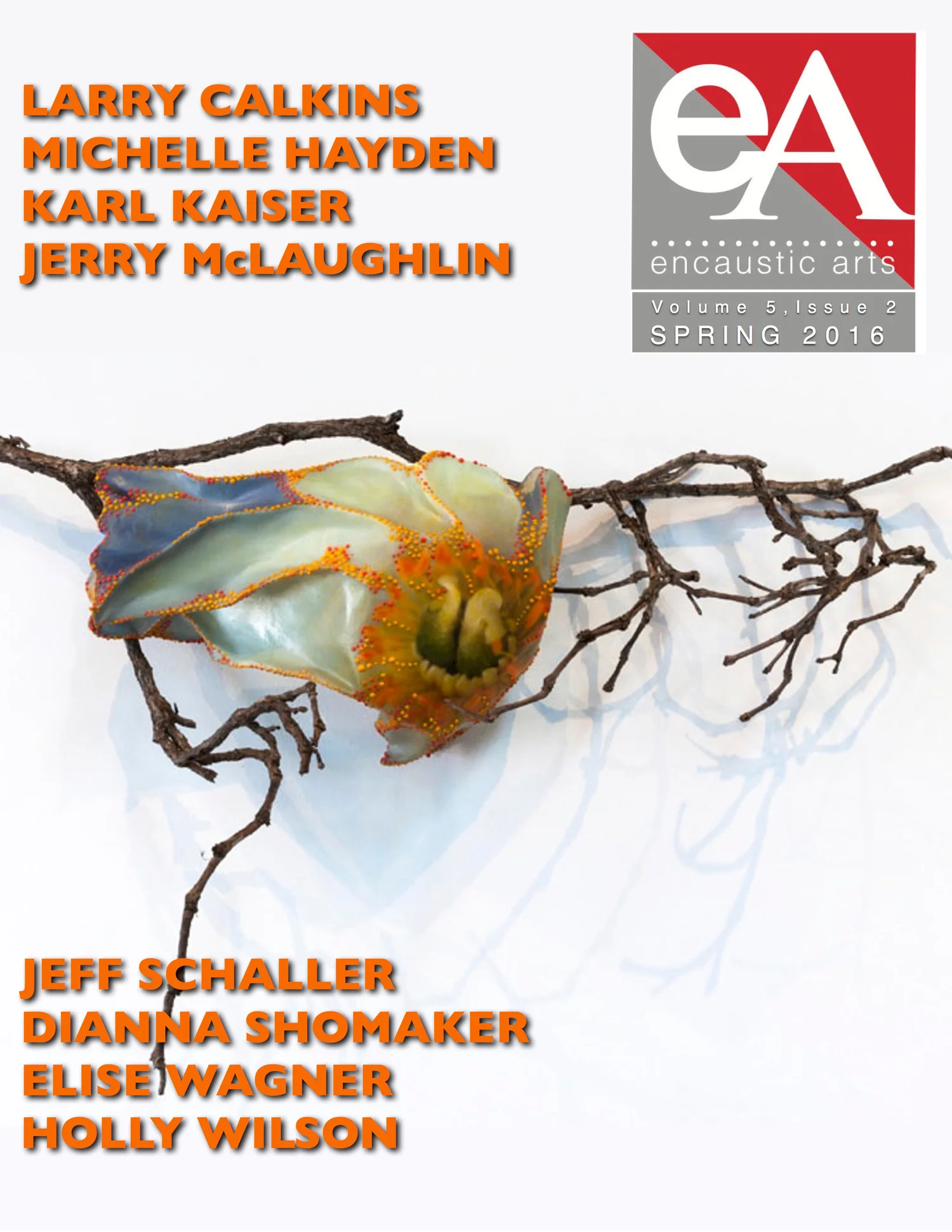 Excited to Announce — MICHELLE HAYDEN