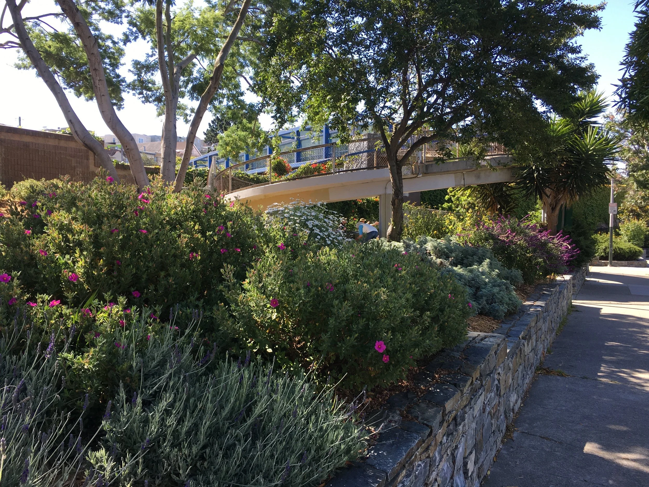 Fallen Bridge Park — Green Benefit District