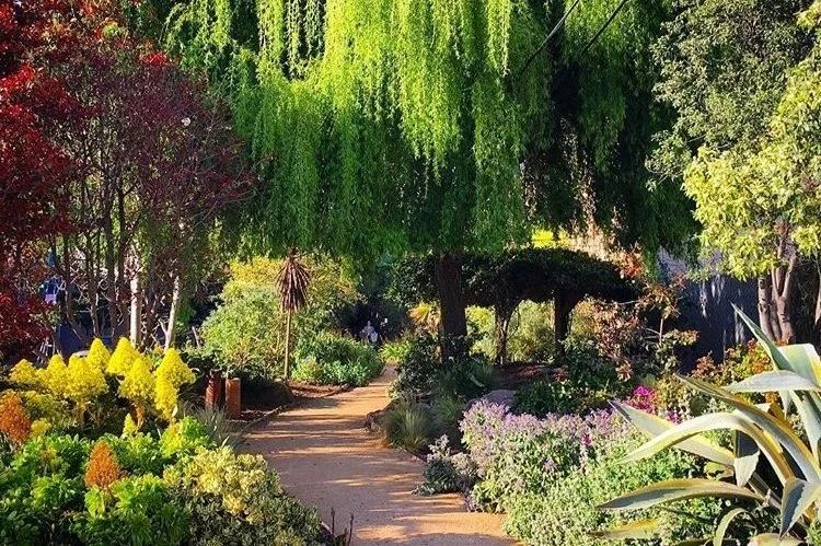 Minnesota Grove — Green Benefit District