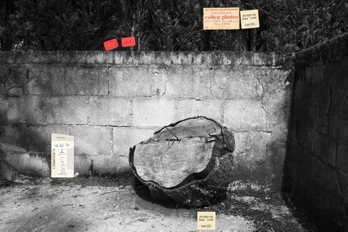 Past Artists — Space 4 Art