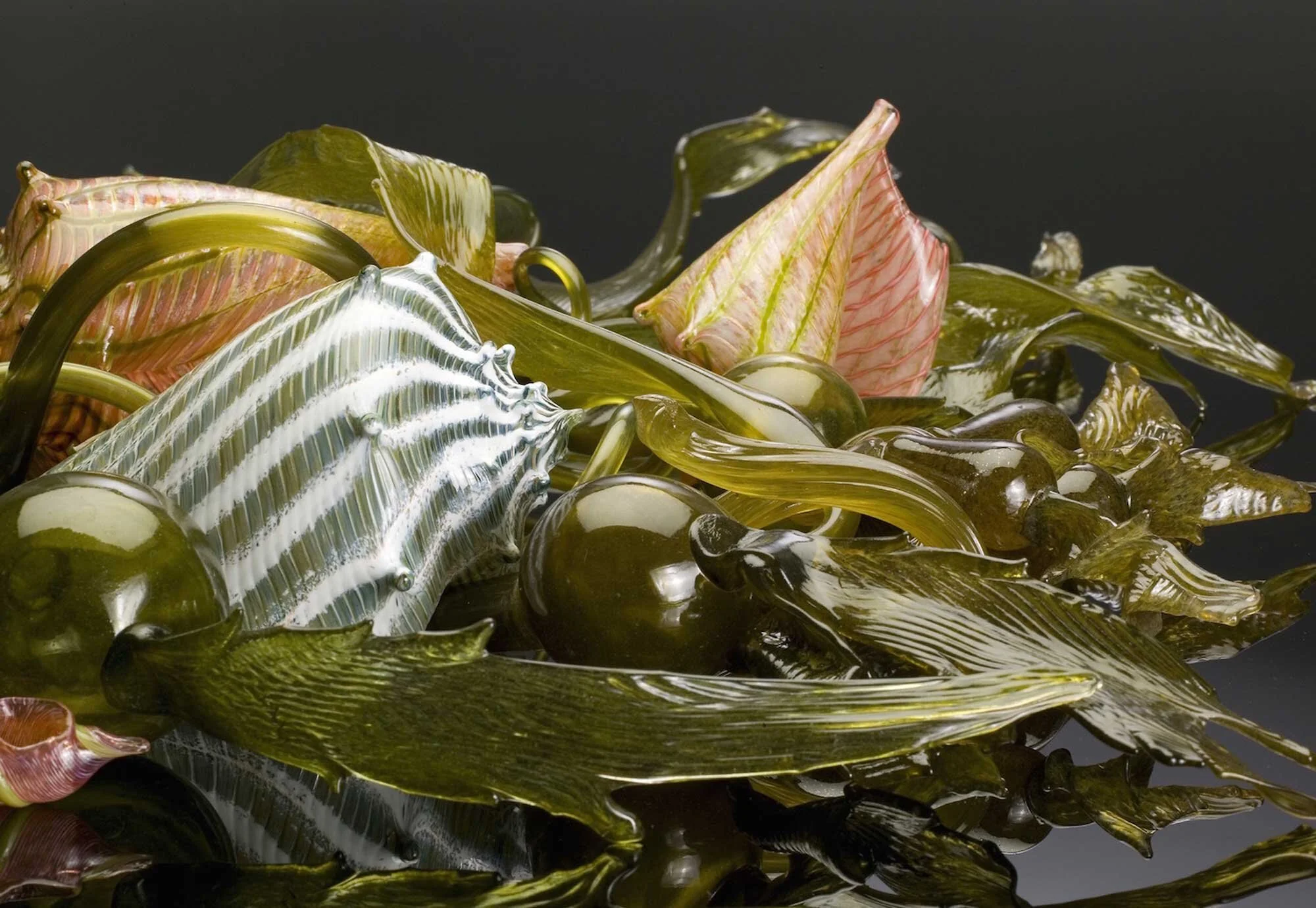 The Seaweed Series — Silkwood Glass