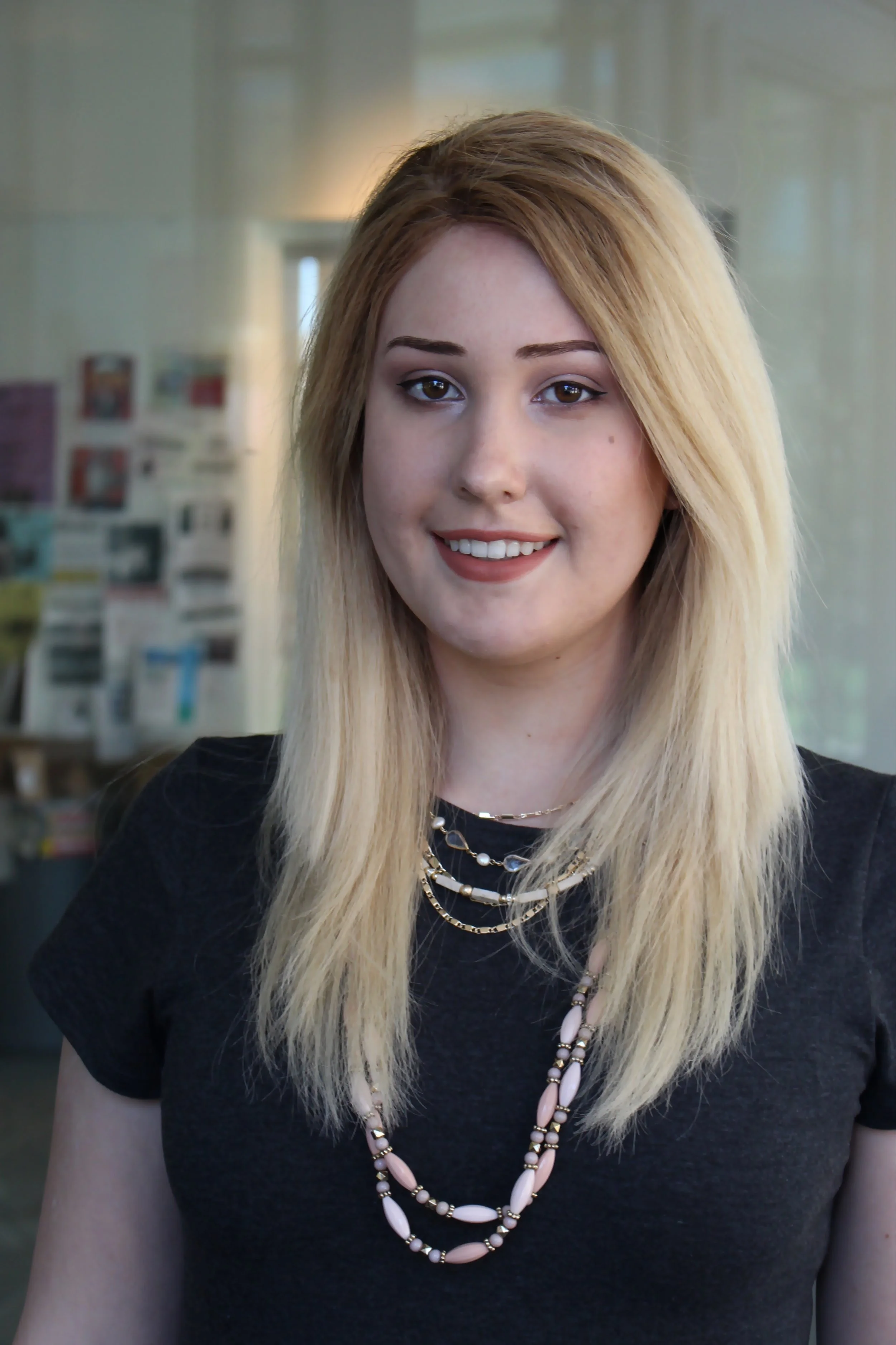 Allison Koehler will continue working with Model UN to promote diverse ...