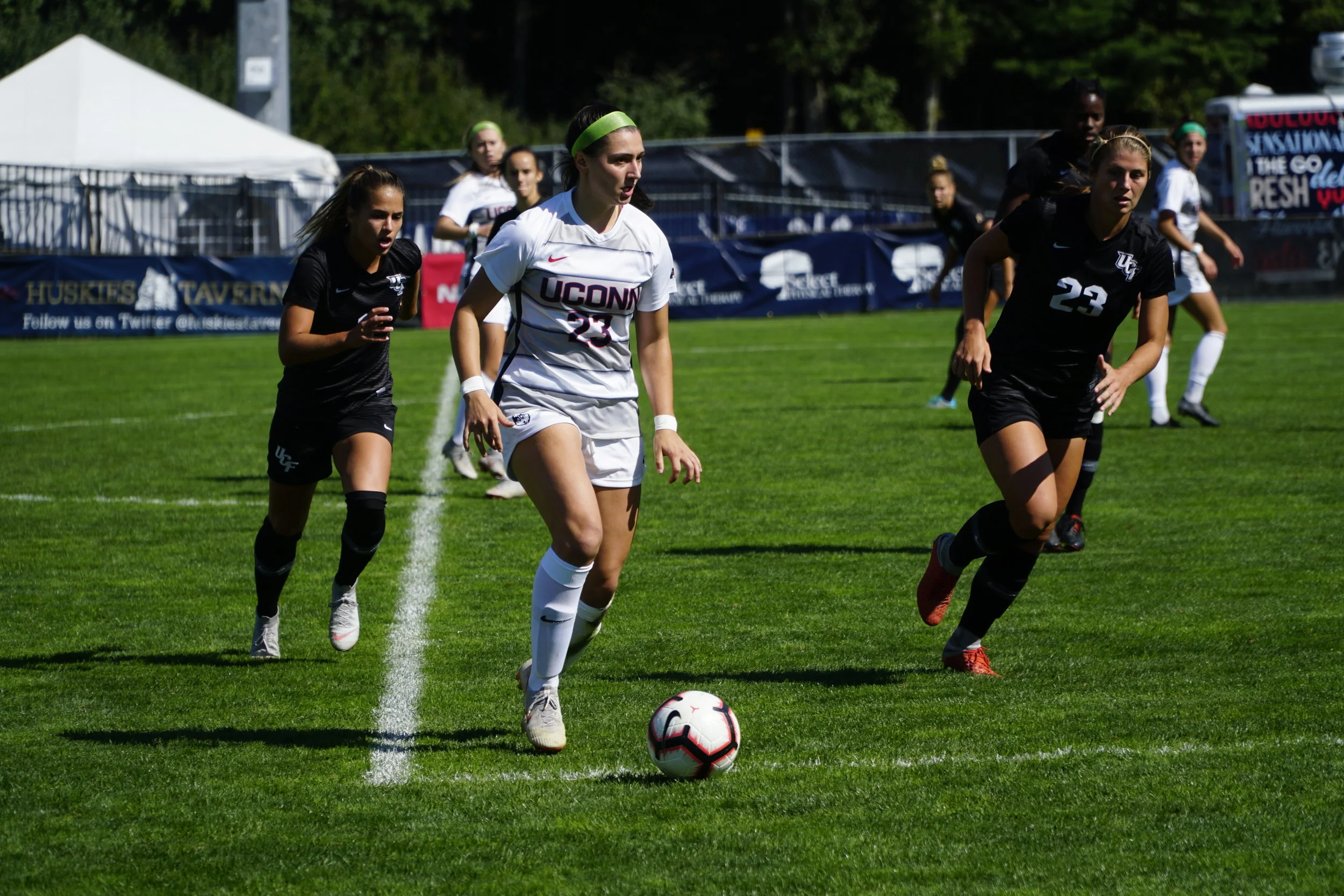 Athlete Spotlight: Sophia Danyko-Kulchycky | The Daily Campus