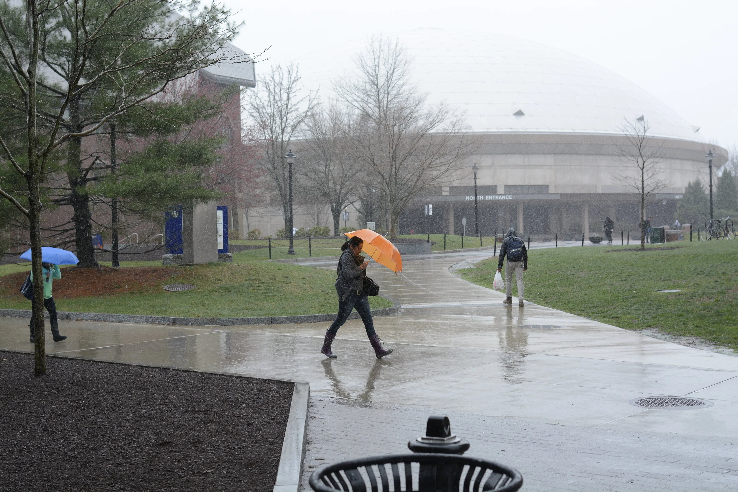 Debunking the ‘rain on Tuesdays’ myth | The Daily Campus