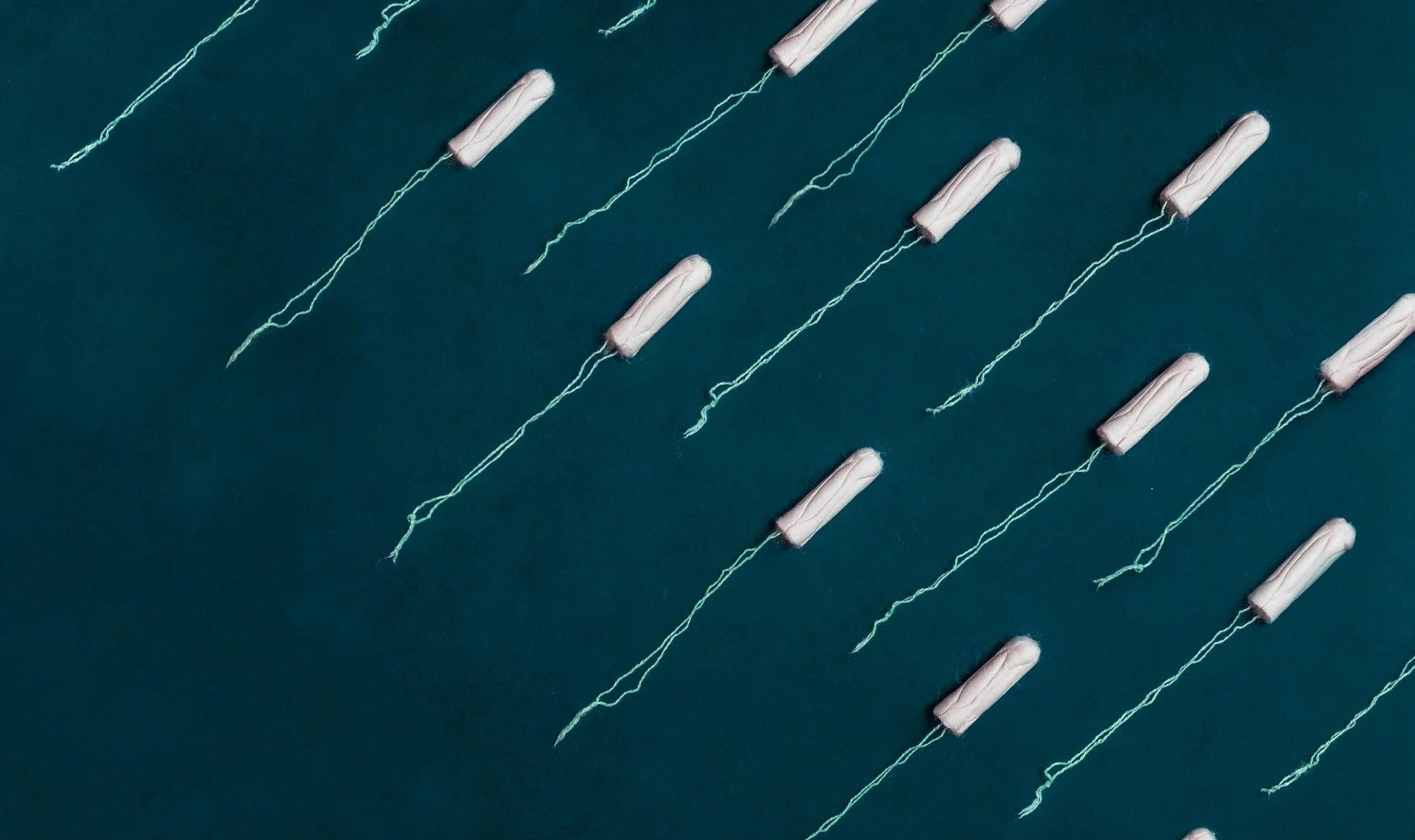 USG passes tampon time, appoints members to new positions | The Daily ...
