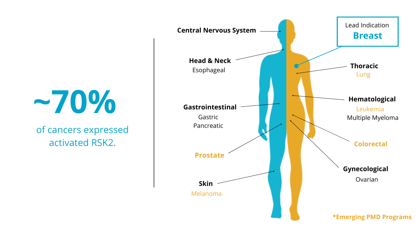 Science — Phoenix Molecular Designs