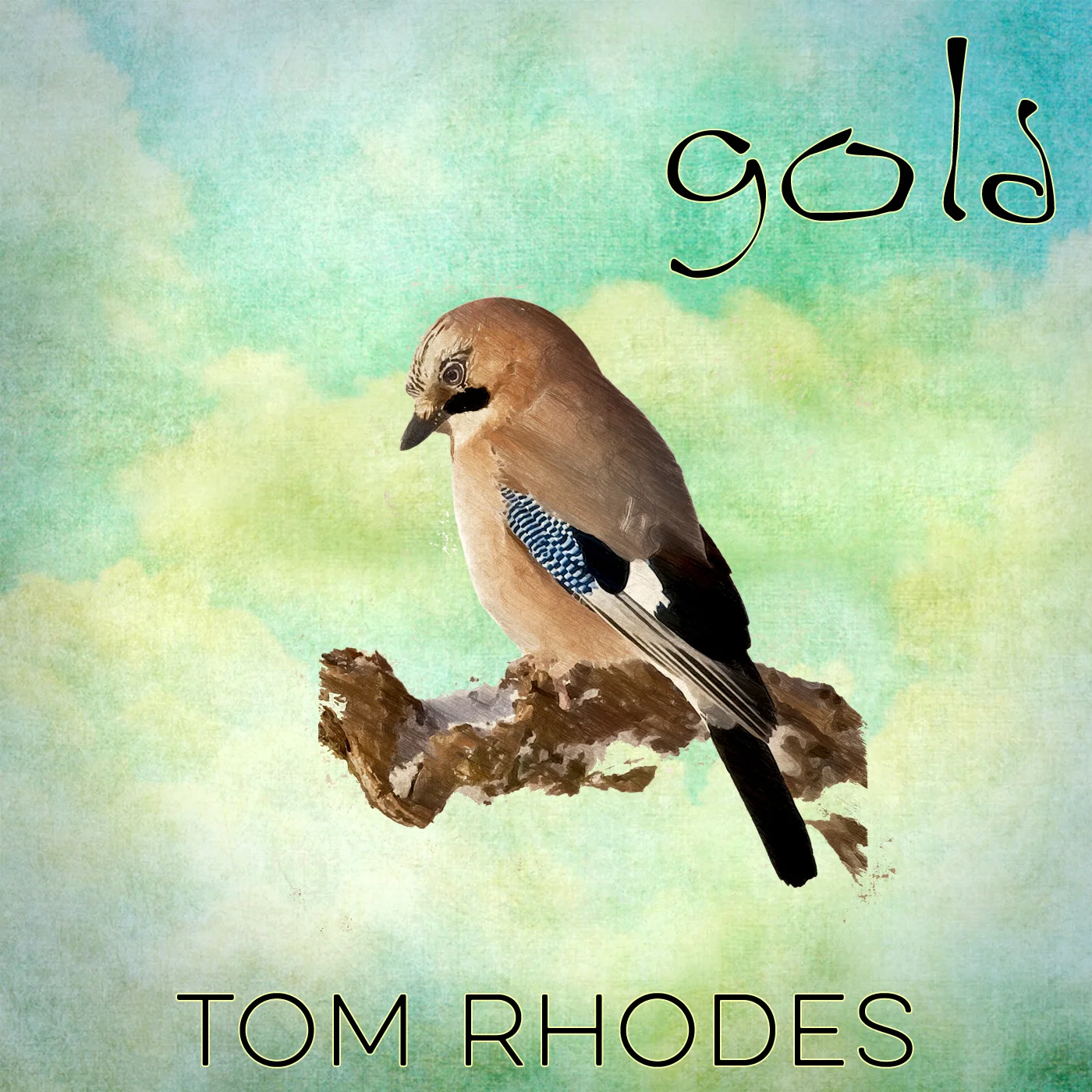Tom Rhodes Music