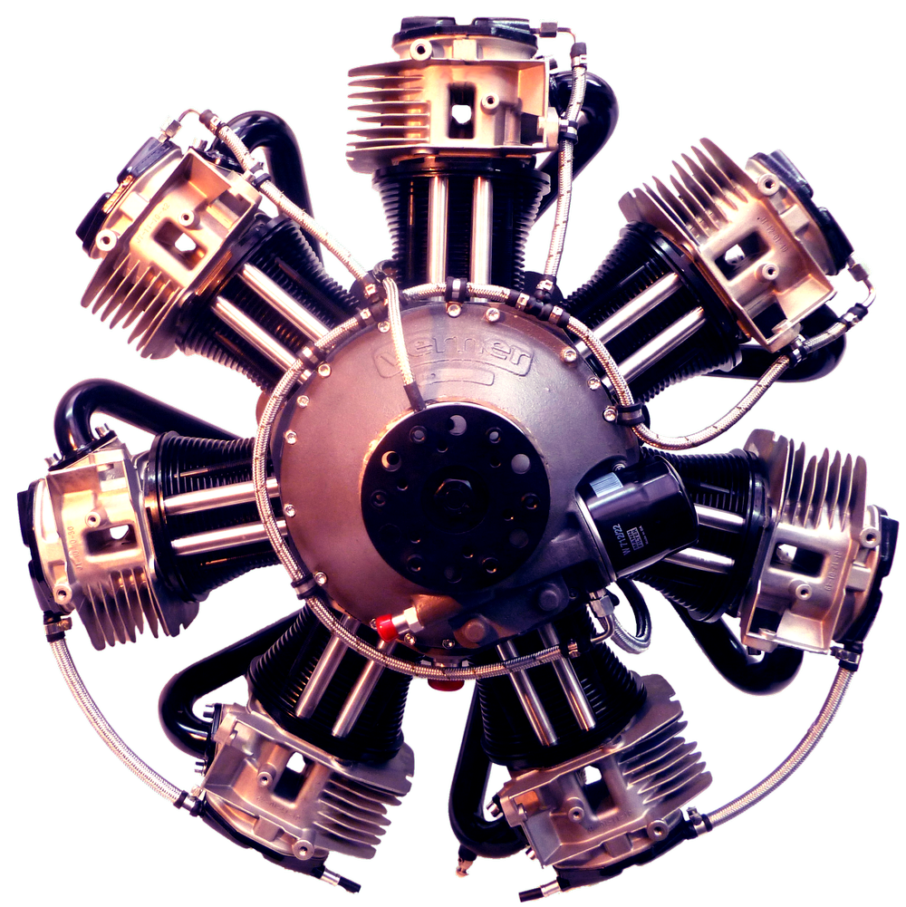 About — ScaleBirds