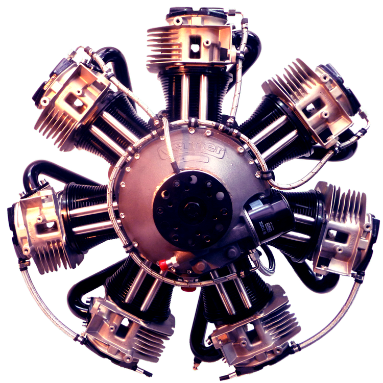 About — ScaleBirds