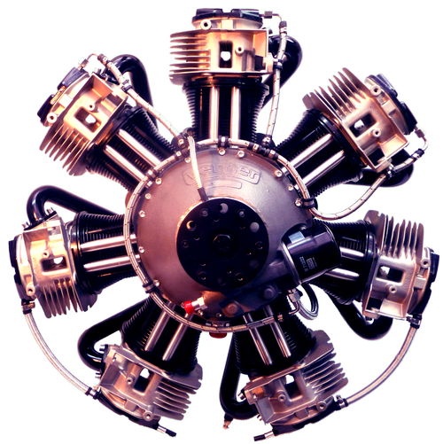 Scarlett 7 — ScaleBirds