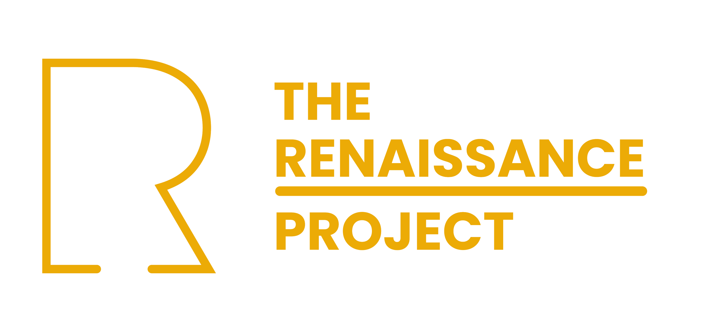 Renaissance Project — Progress Playbook