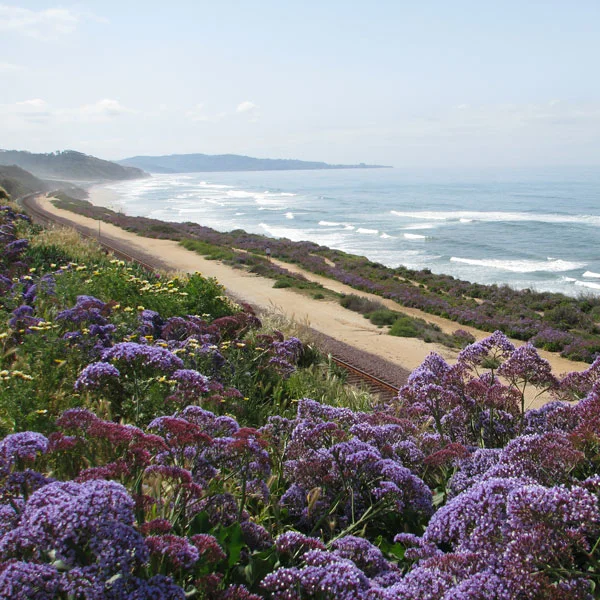 San Diego North County Beach Towns | Local Wally's Guide to San Diego ...