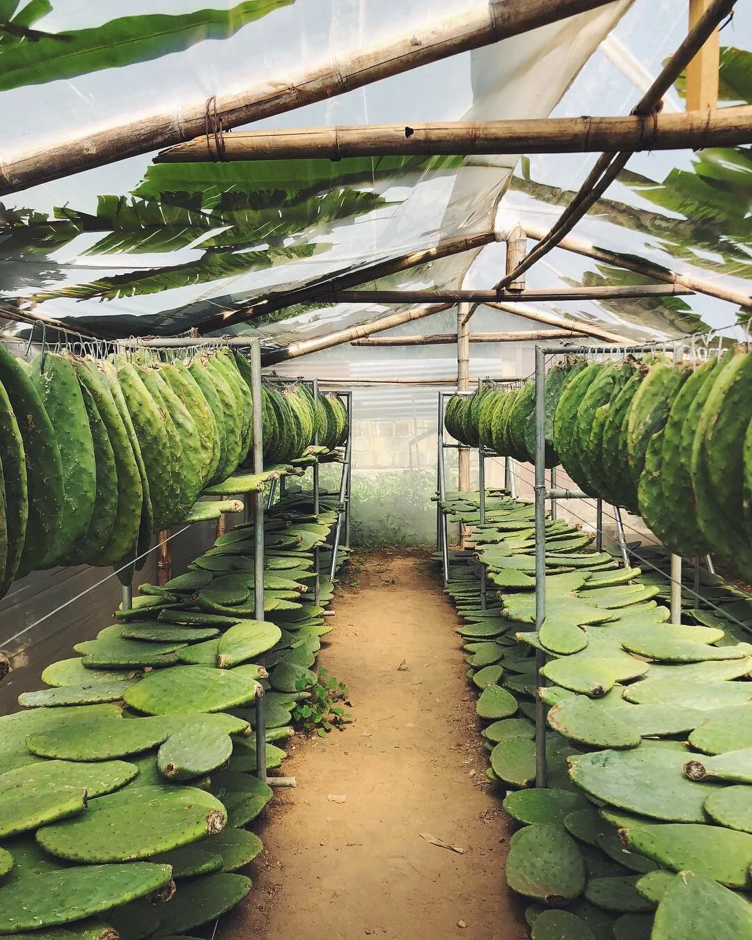 Guatemala Weaving Workshop — The Thread Caravan