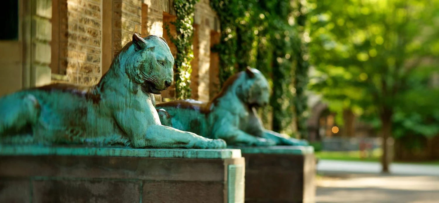 Bill Writing — Princeton Model Congress