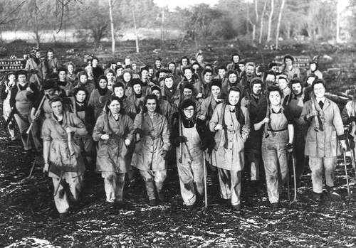 Women in Forestry, the Lumberjills story — Grizedale Sculpture