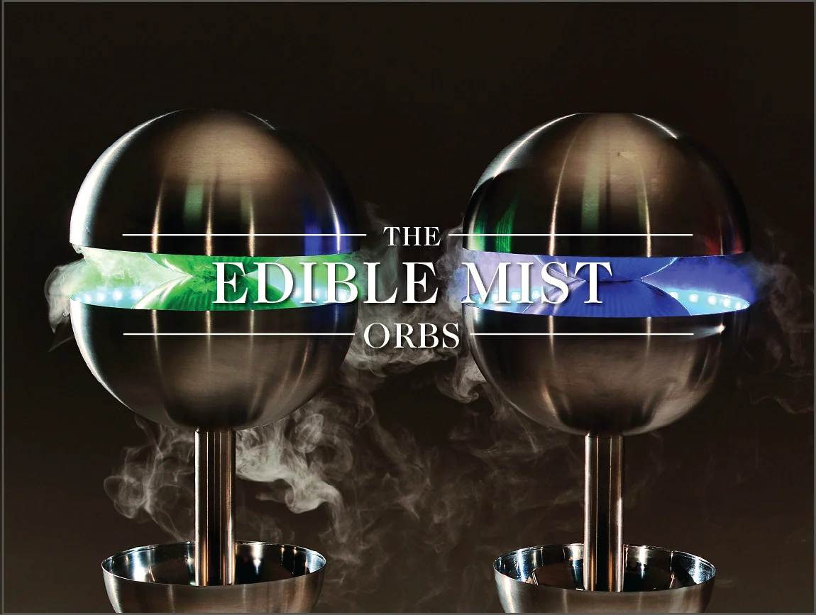 Lick Me Im Delicious Incredible Edible Experiences