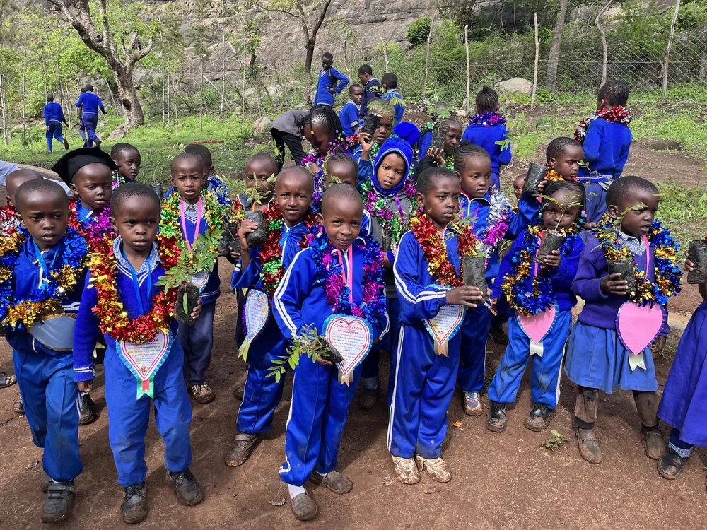 Singing Tree — Lis Addison