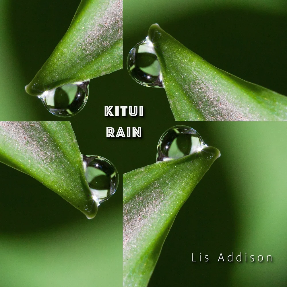 Albums/Singles — Lis Addison