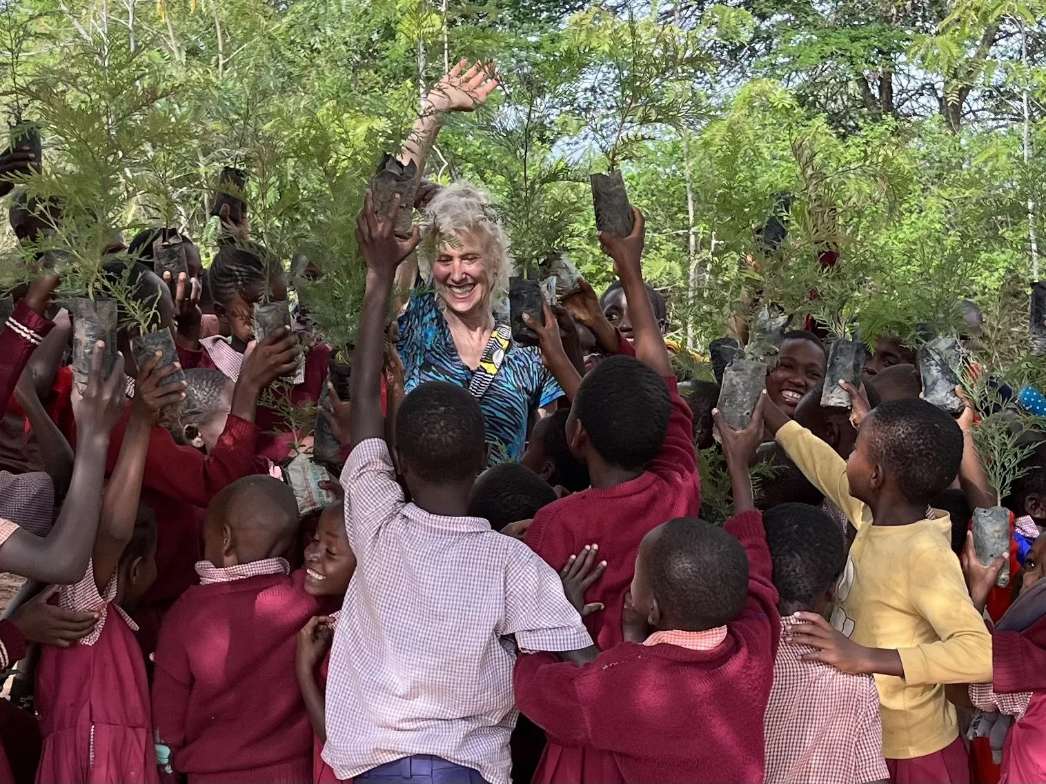 Singing Tree — Lis Addison