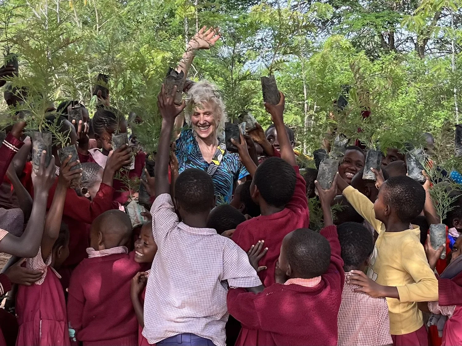 Singing Tree — Lis Addison