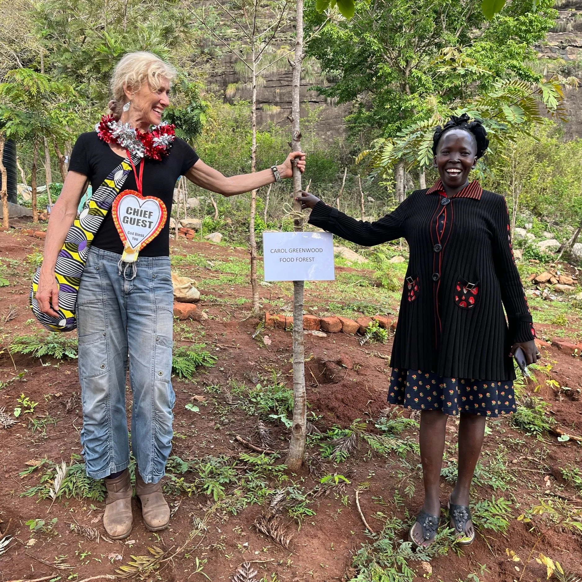 Singing Tree — Lis Addison