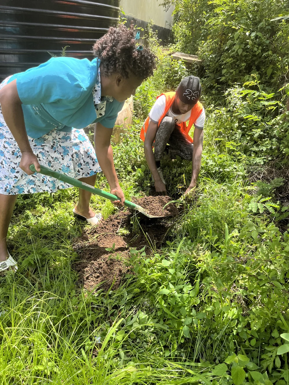 Singing Tree — Lis Addison
