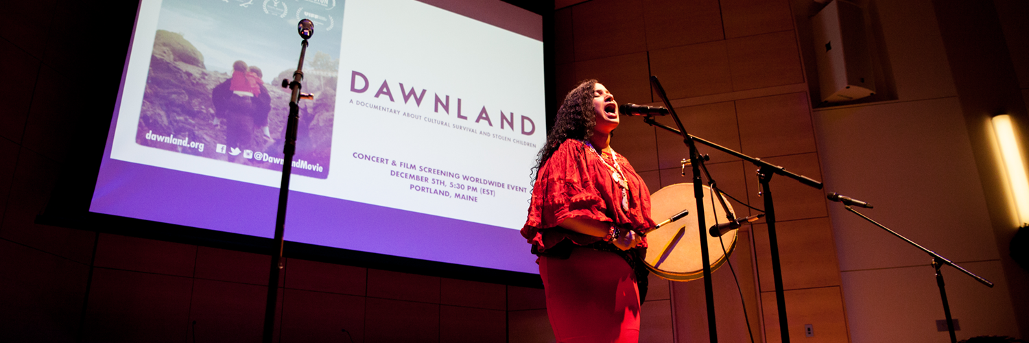 About — Upstander Project