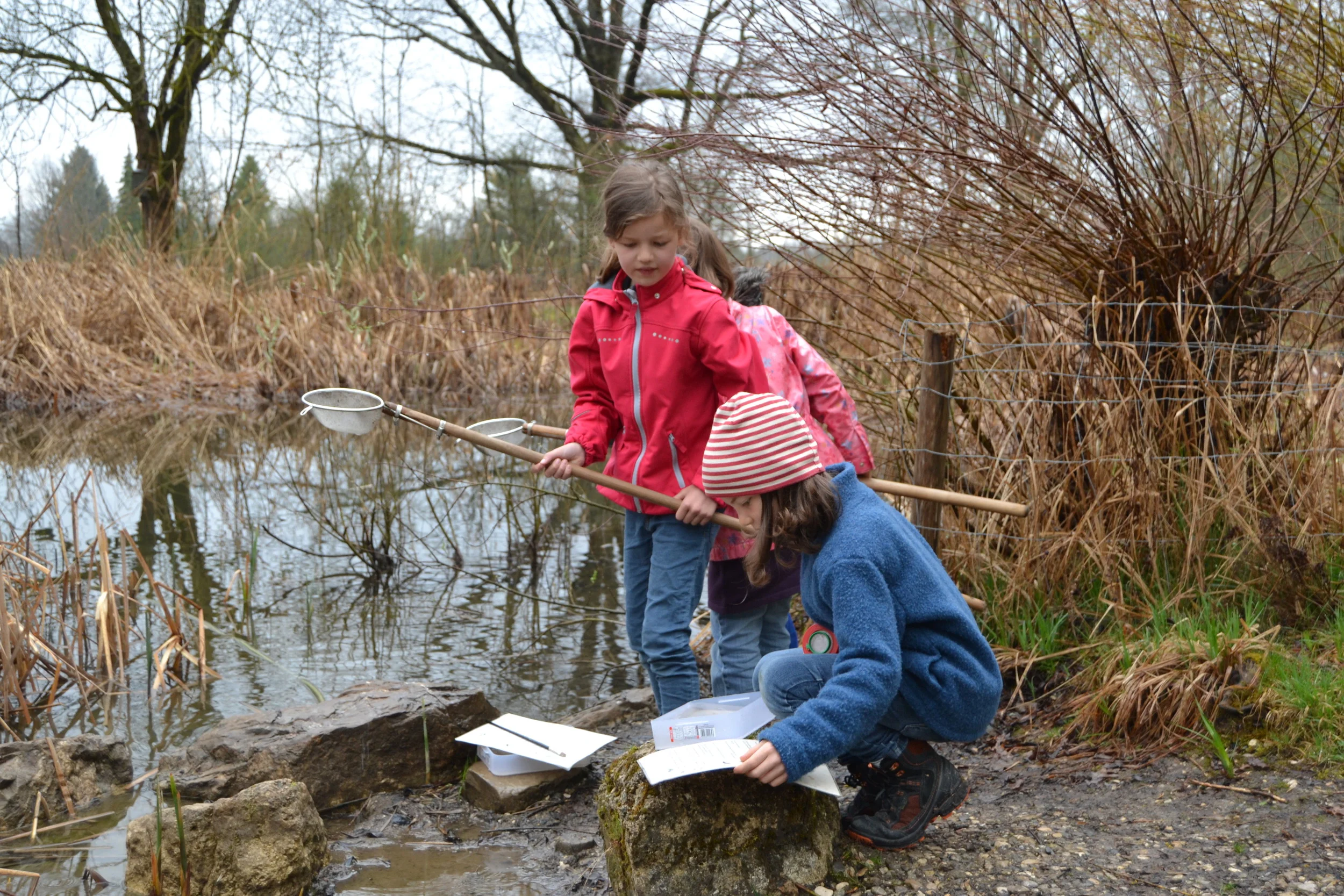 Natur entdecken — Grundschule