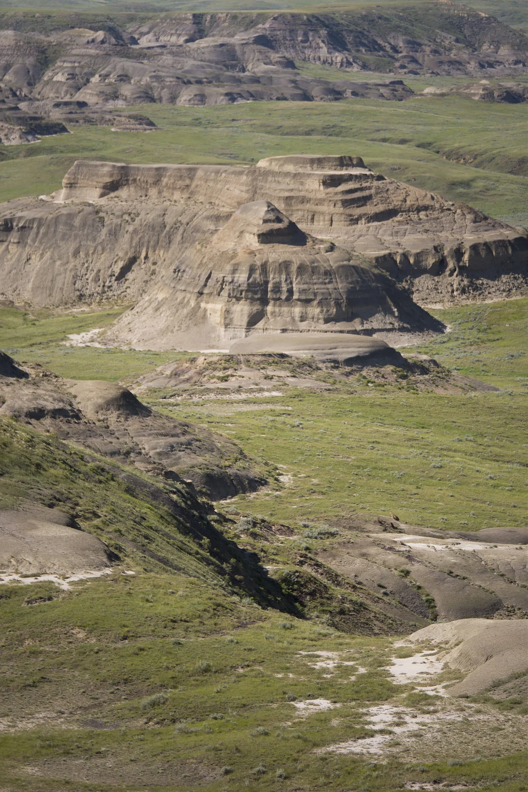 Escape from Killdeer Badlands — The Saskatchewan Border