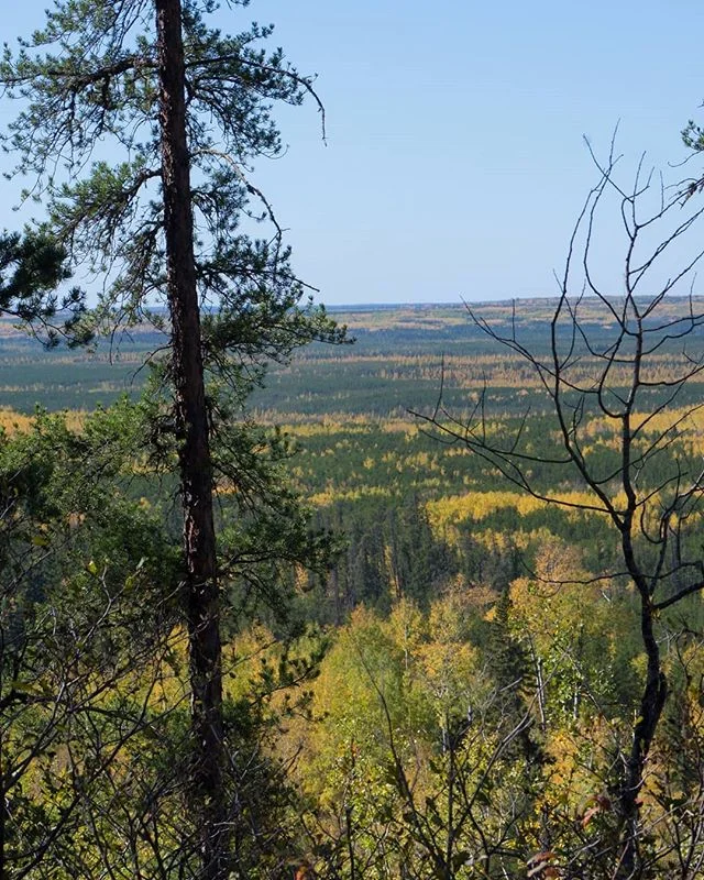 The Saskatchewan Border