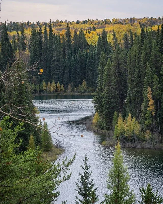 The Saskatchewan Border