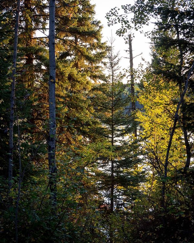 The Saskatchewan Border