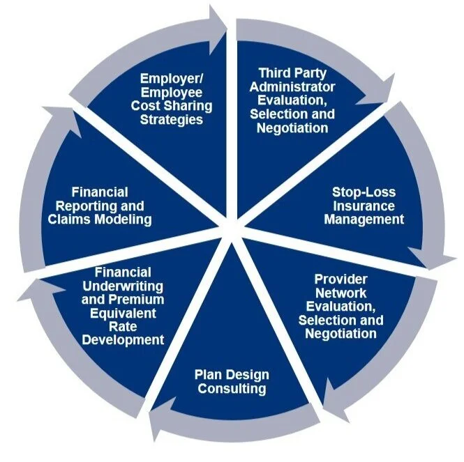 Self Funded Health Plan Consulting Services Strategic Benefit Resources Self Funded Health Plan Consulting Services Strategic Benefit Resources