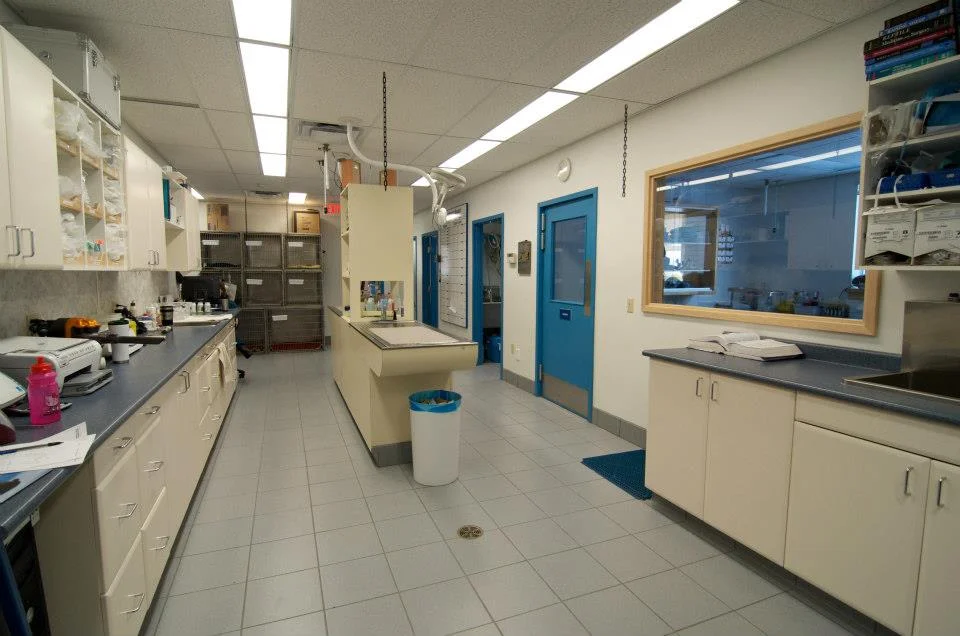 Alpine Veterinary Medical Centre