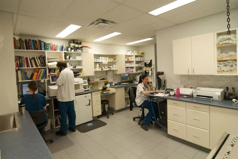 Alpine Veterinary Medical Centre