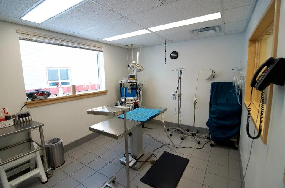 Alpine Veterinary Medical Centre